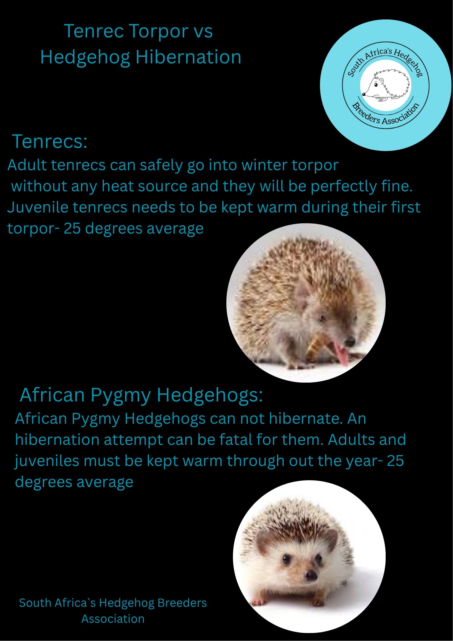 Tenrec Torpor vs Hedgehog Hibernation